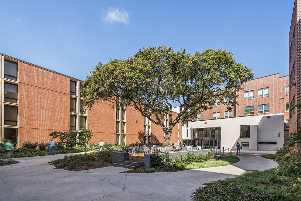 Tarleton State University Honors College | BOKA Powell