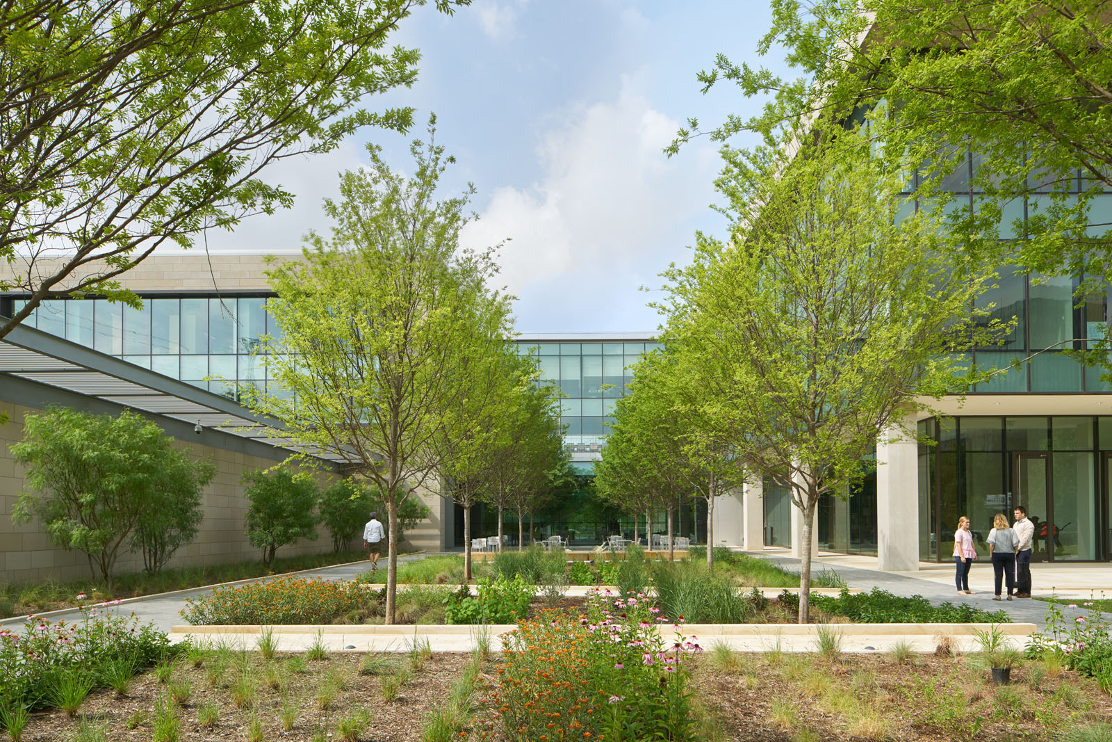 Perot Family Turtle Creek Headquarters | BOKA Powell